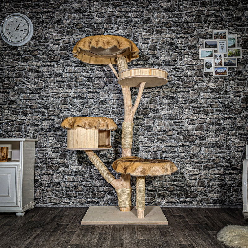 Naturkratzbaum 3519 Kratzbaum Natur Holz Design 172 cm hoch Katzenbaum ...