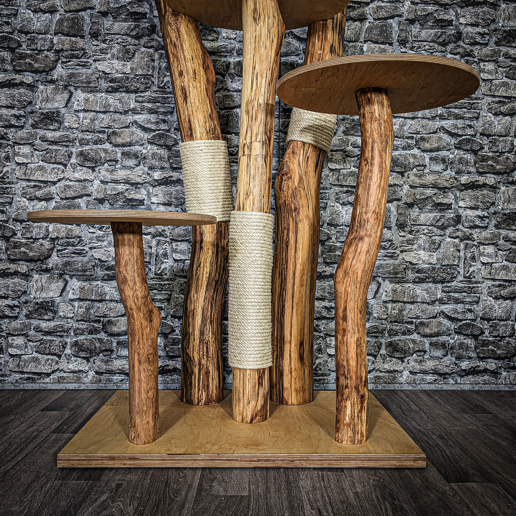 Naturkratzbaum 3724 Kratzbaum Natur Holz Design 175 cm hoch Katzenbaum ...